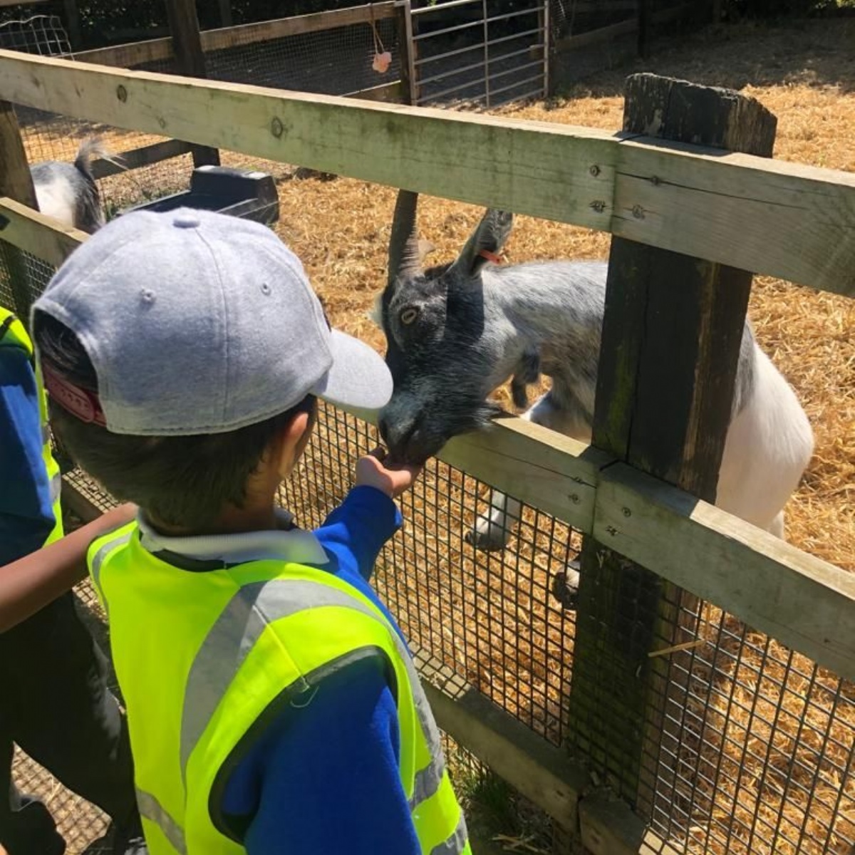 Roxeth Primary School - Year 1 visit Aldenham Country Park