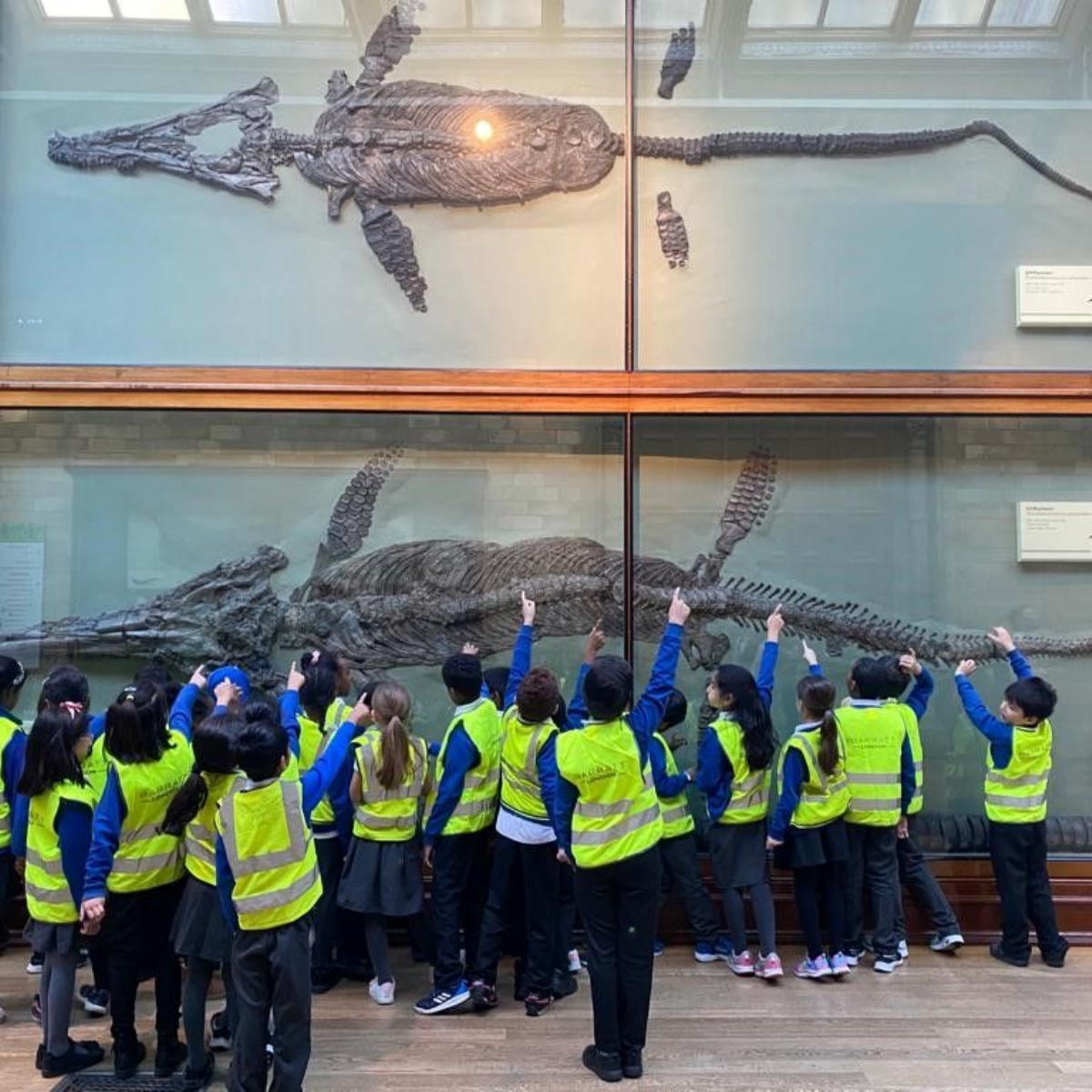 Roxeth Primary School - Year 3 have a Roarsome time!